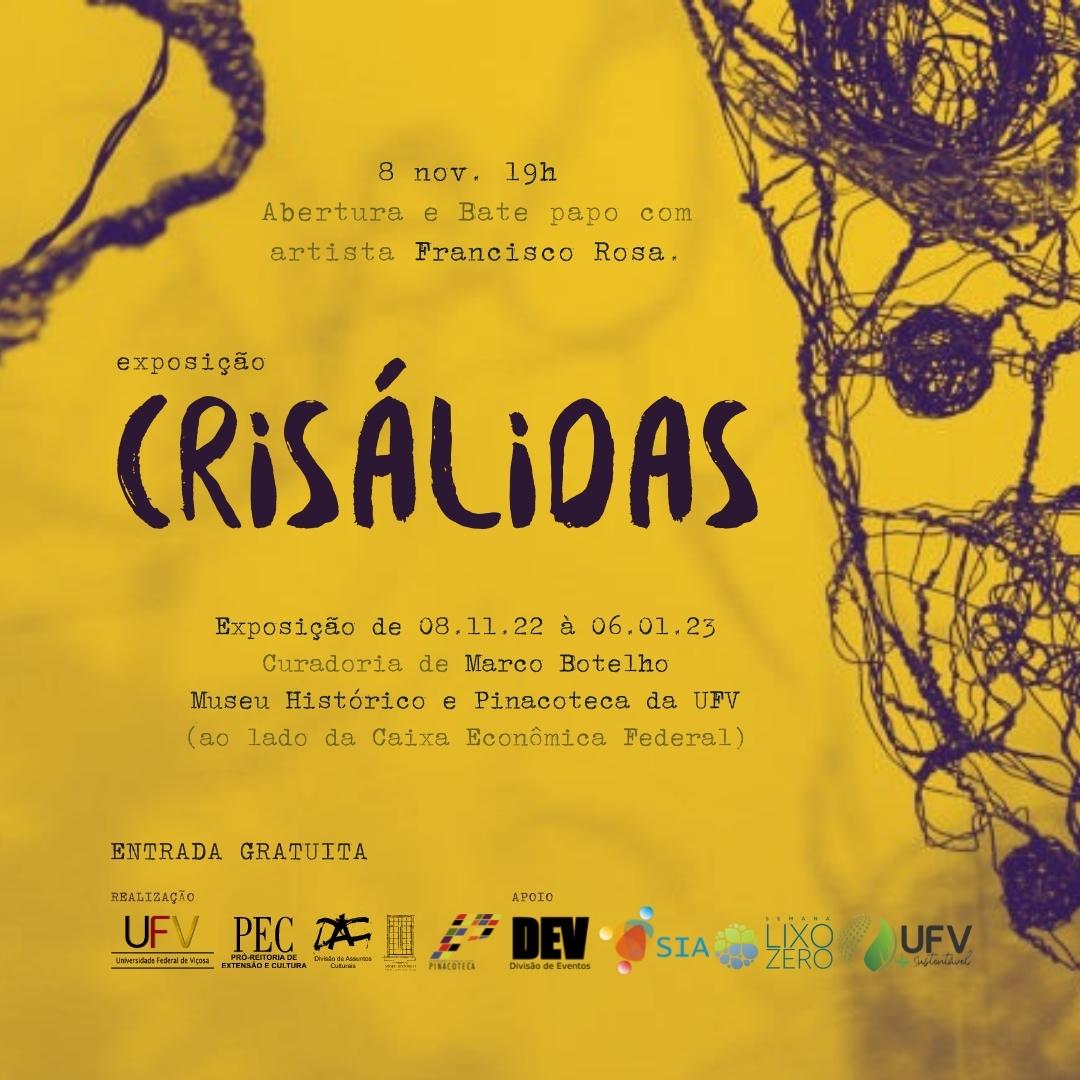 Pinacoteca da UFV apresenta exposição “Crisálidas” | Museu Histórico